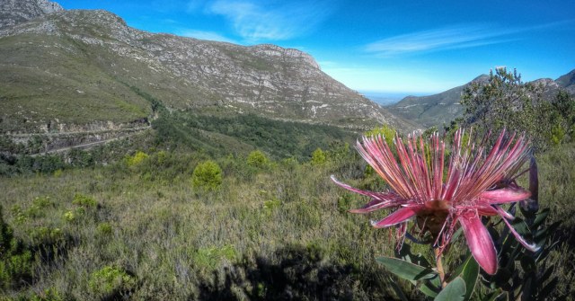 Top Hiking Trails in the Garden Route | Garden Route Holiday Accommodation